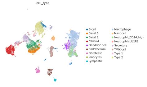 Atlas Level Integration Of Lung Data Scvi Tools