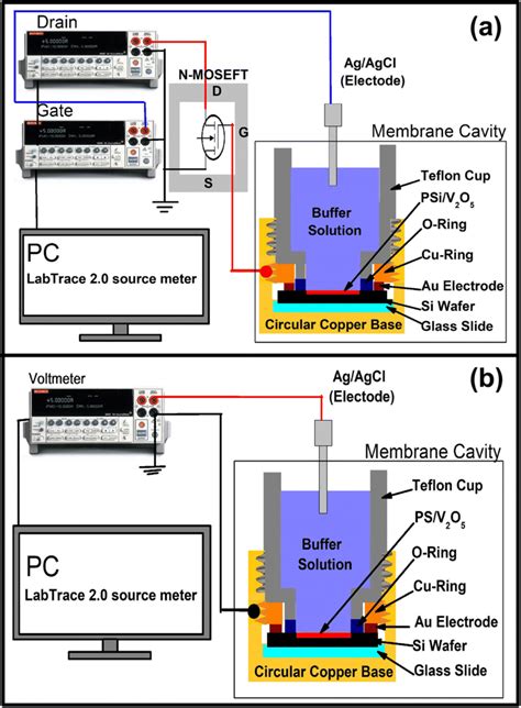 Schematic Diagram Of The Sensing Measurements System A Sensitivity And Download Scientific