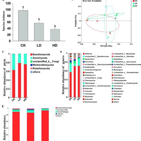 Fungal Community Compositions And Functional Predictions In B Tabaci Download Scientific
