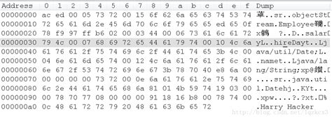 Java序列化 二进制格式详解 Csdn博客