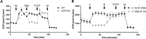 Highlighting The Importance Of Oligomycin In Determining Ucp1 Dependent