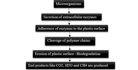 Figure Diagram Of Microbial Enzymatic Biodegradation Of Plastic Download Scientific Diagram