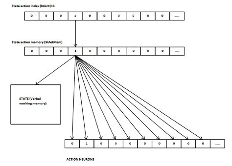 Memorization And Retrieval Of A State Action Sequence Download
