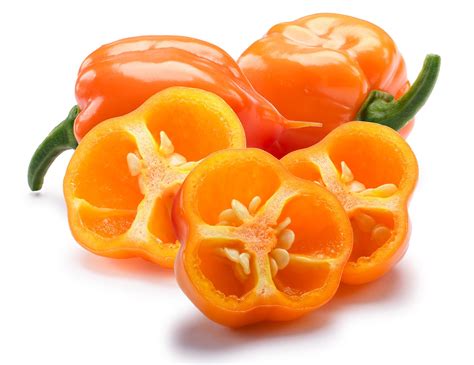 Habanero Pepper Facts At Alex Grey Blog