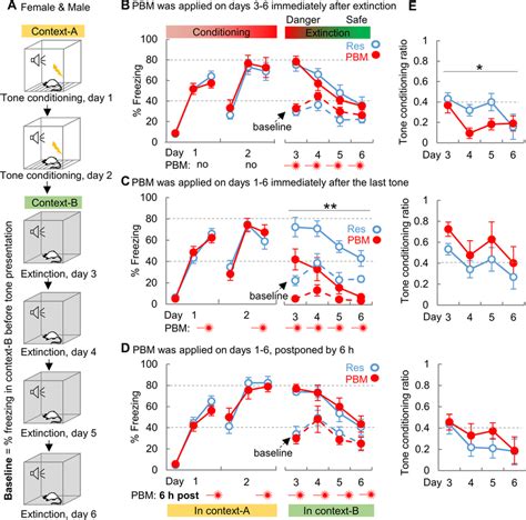 Fear Extinction Is Facilitated By Pbm Early Interventions A Rats Were