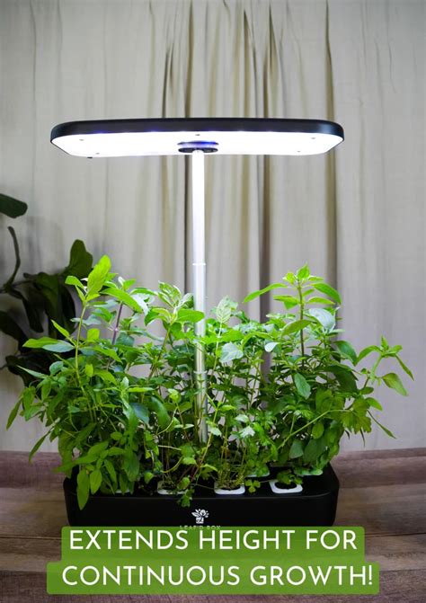 Hydroponics Leafd Box