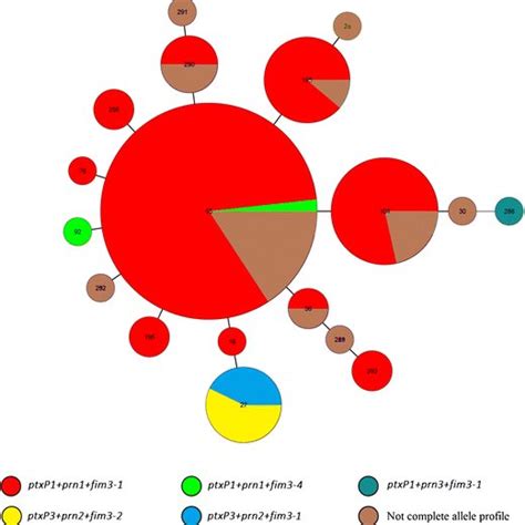 The Minimum Spanning Tree Of Multiple Locus Variable Number Tandem