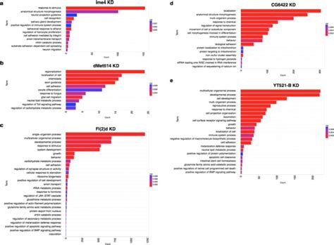 M A Modulates Neuronal Functions And Sex Determination In Drosophila Nature