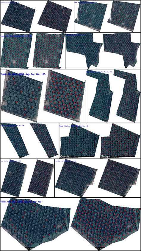 Counting Trees How Growers Know Tree Count To Plant