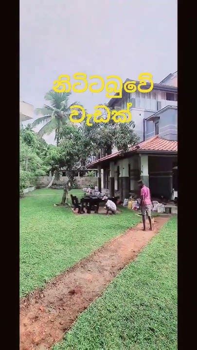 ගෙවතු අලංකරණය මැලේසියන් තණකොළ කාර්පට් Youtube