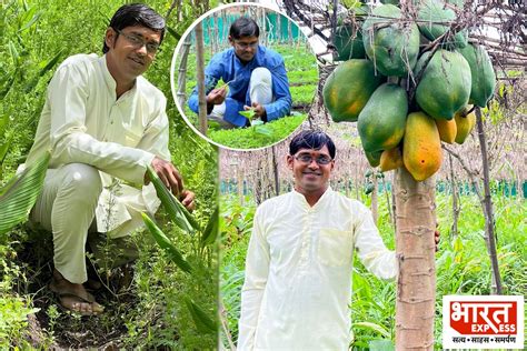 Multilayer Farming से आकाश चौरसिया ने किया कमाल इनसे सीखने के लिए दूर दूर के किसान सागर आ रहे