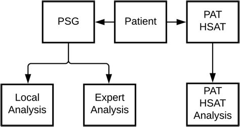 Diagram Of The Data Acquisition Setup This Diagram Depicts That Psg Download Scientific