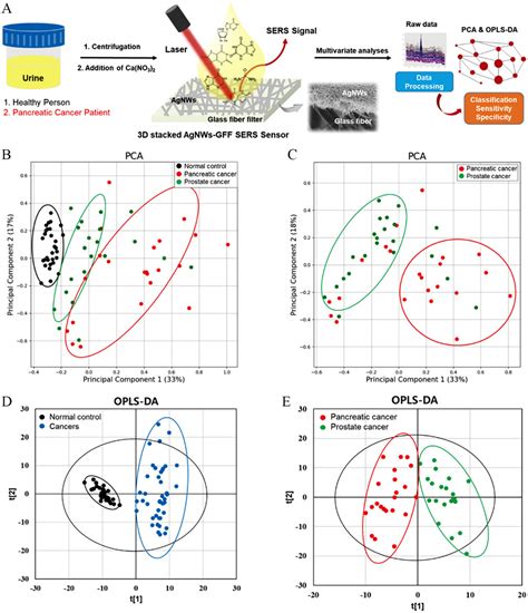 Advancements In Sers‐based Biological Detection And Its Application And Perspectives In