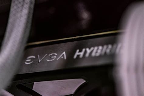 Cougar Conquer Hybrid Builds Gg