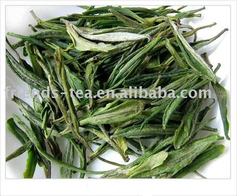 green tea(Maojian),China price supplier - 21food