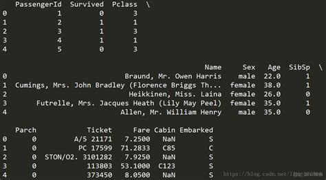 数据挖掘经典项目泰坦尼克号乘客生存率预测 泰坦尼克号生还人数mob6454cc6f8e48的技术博客51cto博客