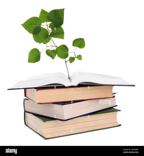 Green Plant Books On Cut Out Stock Images And Pictures Alamy