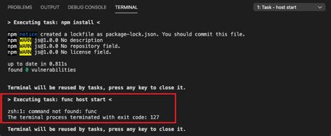 Install Azure Function Core Tools Using Npm Command On Mac Which Has