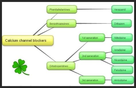 Calcium Channel Blockers List Med Ed