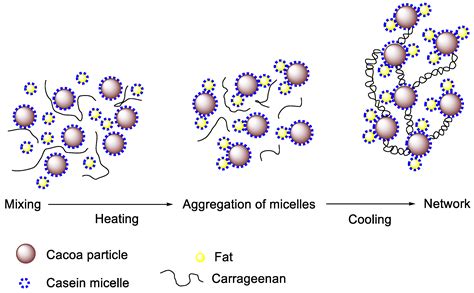 Demystifying E407 And E407a Additives Carrageenans Through Their