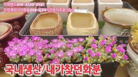 특집국내생산최강모듬셋트 다남다육010 3339 2461 Youtube