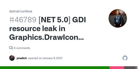 Net 50 Gdi Resource Leak In Graphicsdrawicon Method · Issue 46789