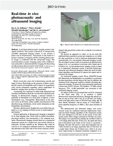 Pdf Real Time Integrated Photoacoustic And Ultrasound Paus Imaging System To Guide