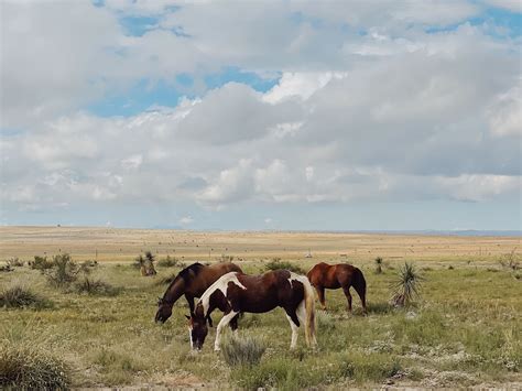 Pilgrimage To Marfa Texas