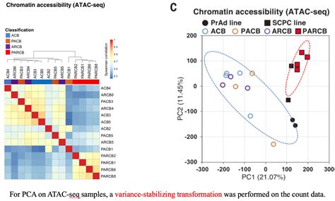 Rna Seq Pca