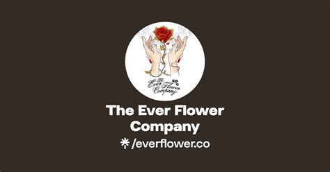 The Ever Flower Company Instagram Tiktok Linktree