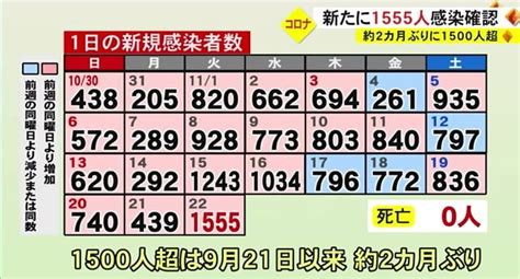 熊本県内で新たに1555人感染 新型コロナ Masami71の日記