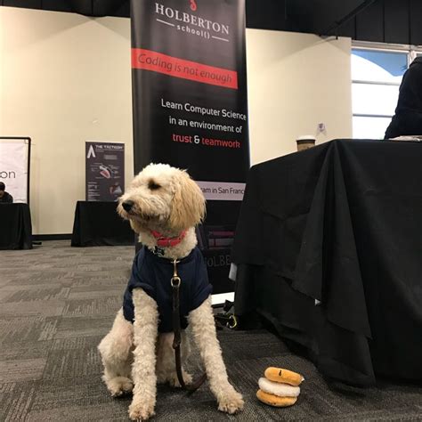 Project 0x0e C Structures Typedef Alx Intranet Learn Computer