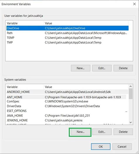 Setting Apache Ant Environment Variables Provar