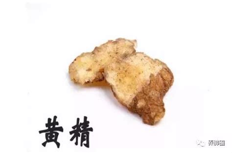 帶您走進養肺中藥小課堂黃精 每日頭條