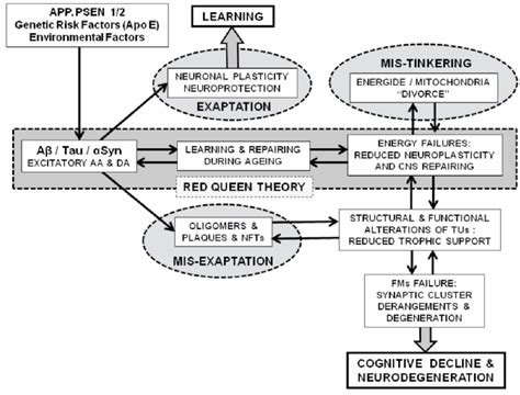 Schematic Overview Of The Present Hypothesis That Is Based On The New Download Scientific