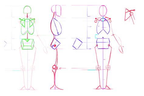 일러스트레이터 Gregor Kari의 도형화 및 미술 해부학을 활용한 인체 드로잉 Coloso