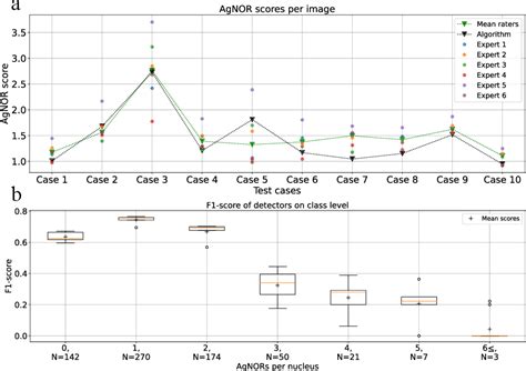 Deep Learning Based Automatic Assessment Of Agnor Scores In Histopathology Images