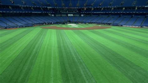 Tropicana Field Sold Out For Tampa Bay Rays Opening Day Wfla