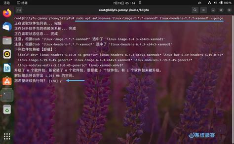 如何在 Ubuntu 中安装和卸载 Xanmod 内核 系统极客