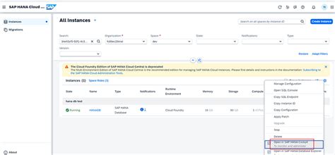 How To Create A Sap Hana Database Instance In Sap Btp By İlker Tekin Medium