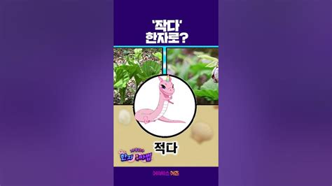 너무 작아ㅜㅜ 작다 한자로ㅣ1분 한자 배우기ㅣ까부리아 한자 마법ㅣkbs 방송 Youtube