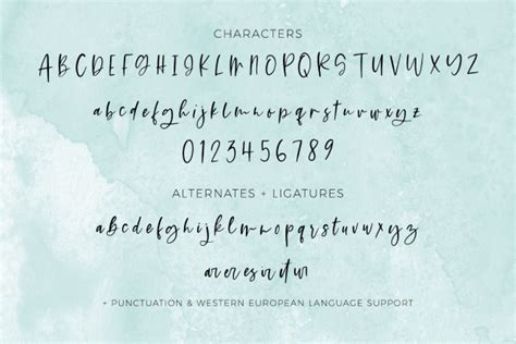 Flirty Script Font With Cute Extras Beck McCormick Font Designer