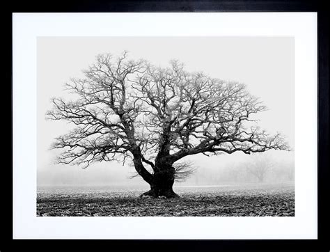 Top 15 Of Why Black And White Framed Art Prints Remain A Timeless Decor