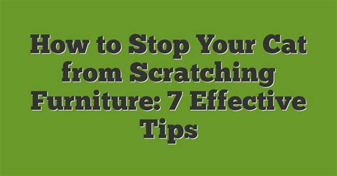 How To Stop Your Cat From Scratching Furniture Effective Tips