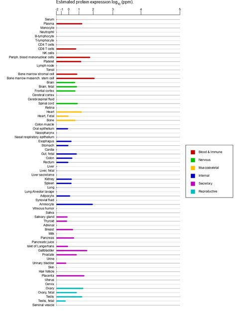 Serpine2 Gene Genecards Gdn Protein Gdn Antibody