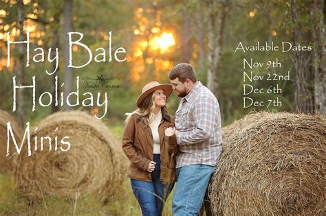Hay Bale Holiday Minis