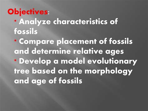 PPT Examining The Fossil Record PowerPoint Presentation Free Download ID 2585732