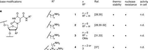 Amine Functionalized Groups On The Nucleobase A Download Scientific