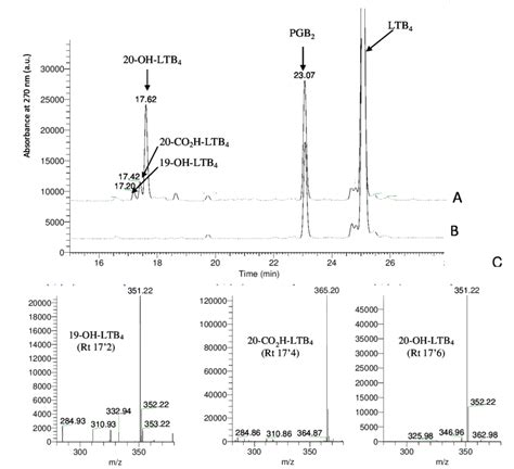 A Typical Reverse Phase Hplc Analysis Of Ltb4 Incubated For 15 Min At