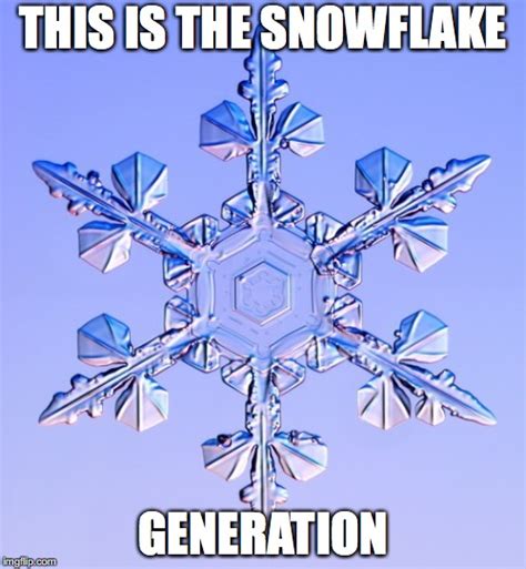Special Snowflake Memes Imgflip